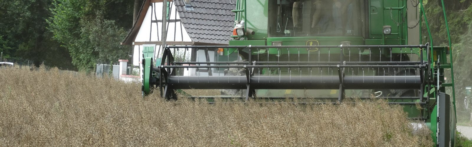 Fabien Metz, le Wantzenauvien qui récolte la moutarde pour Alélor ...