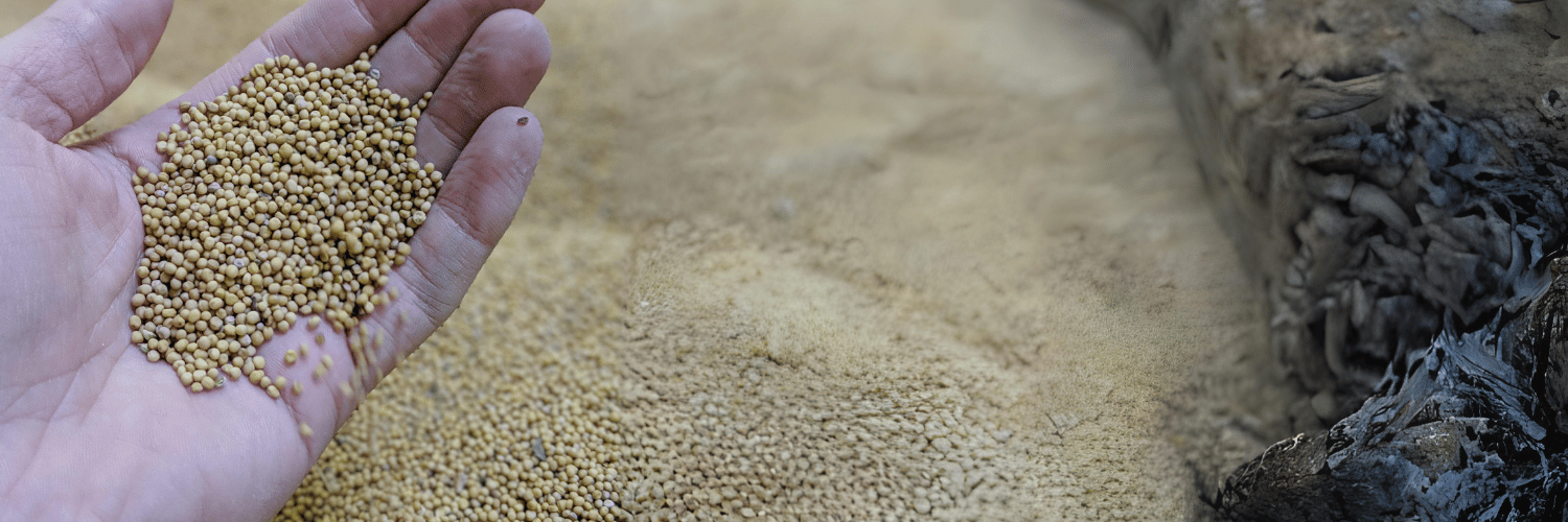 Notre engagement envers la qualité et la tradition | Domaine des Terres ...