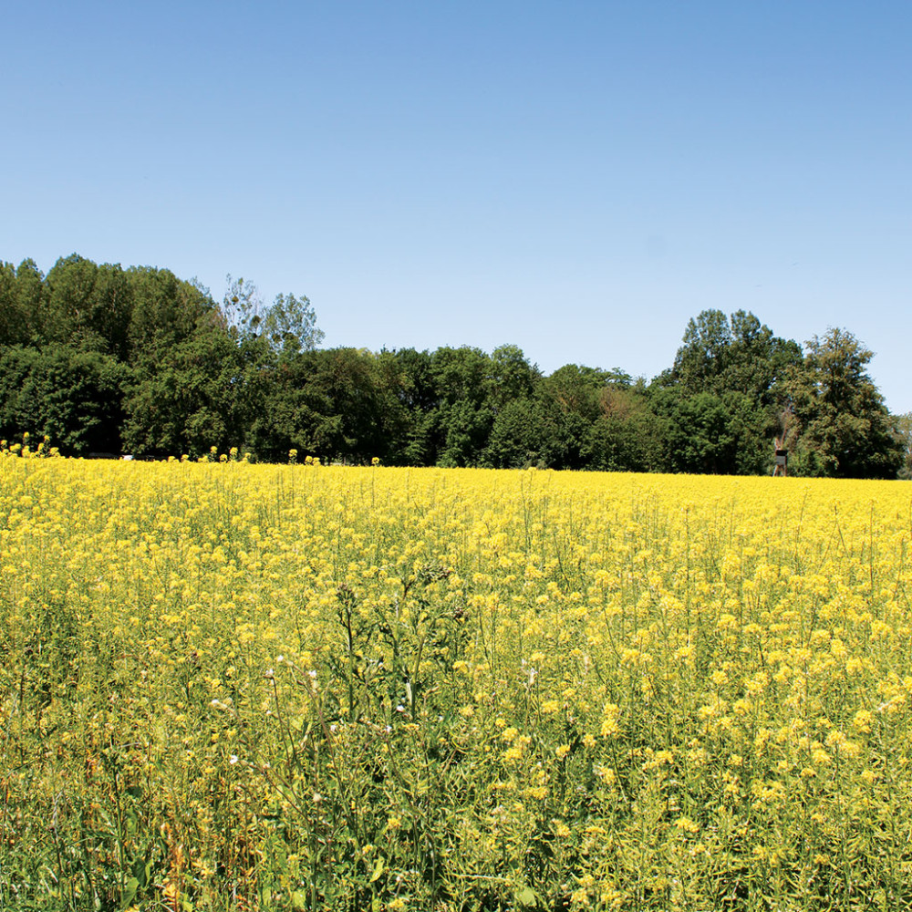 Notre engagement envers la qualité et la tradition | Domaine des Terres ...