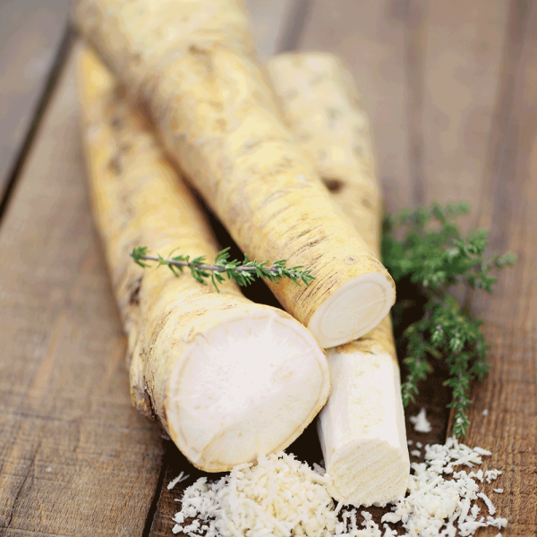 Notre engagement envers la qualité et la tradition | Domaine des Terres ...